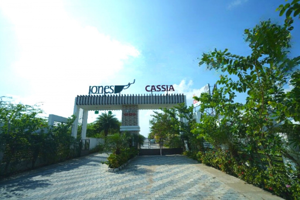 Jones Cassia